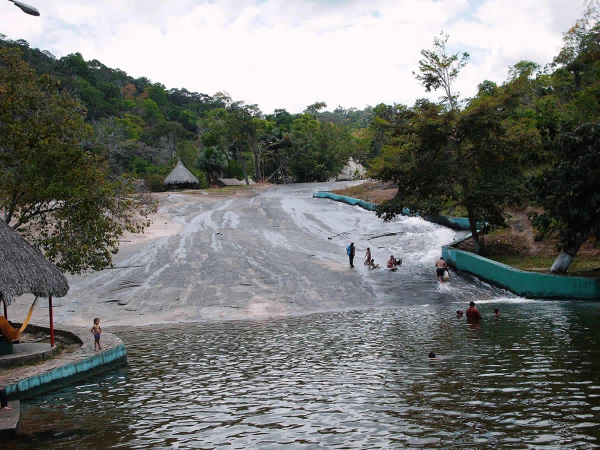 ¿Cuál es el encanto de la selva venezolana? | by Segundo Enfoque | Medium