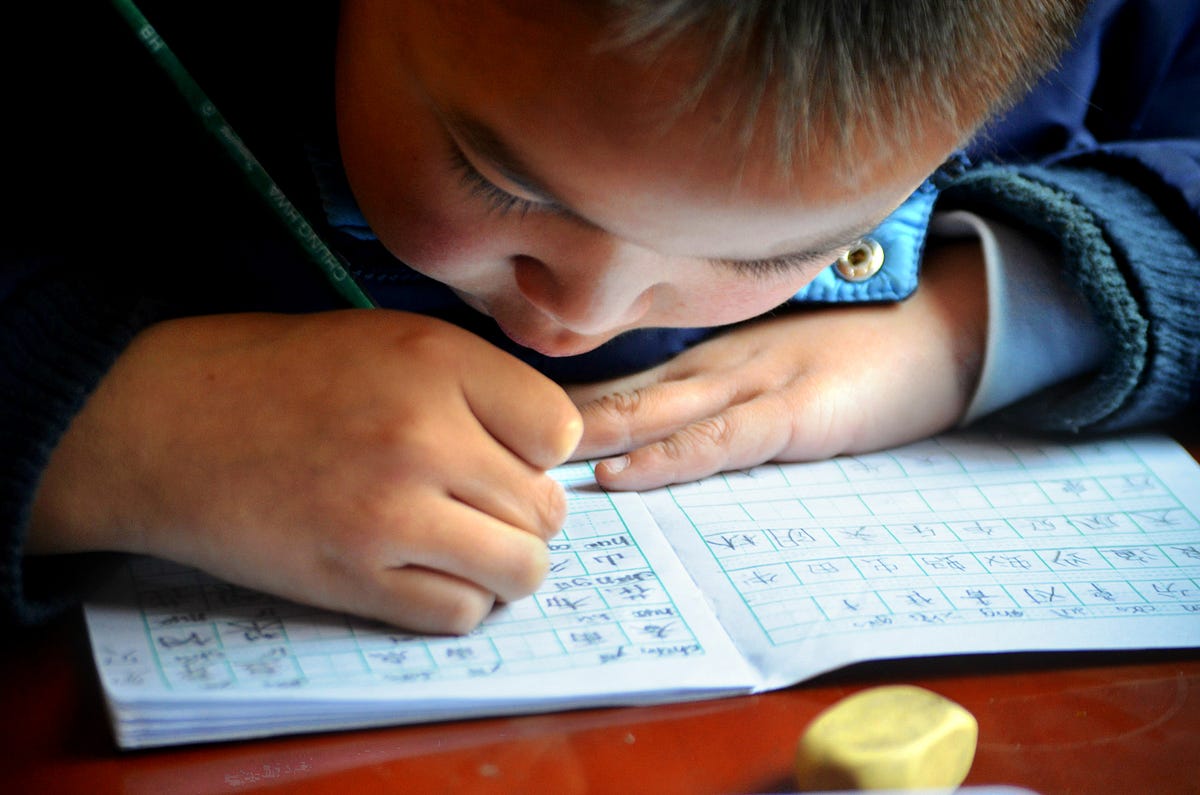 The Brilliant Young Learner | by Alicia Feliz | Medium