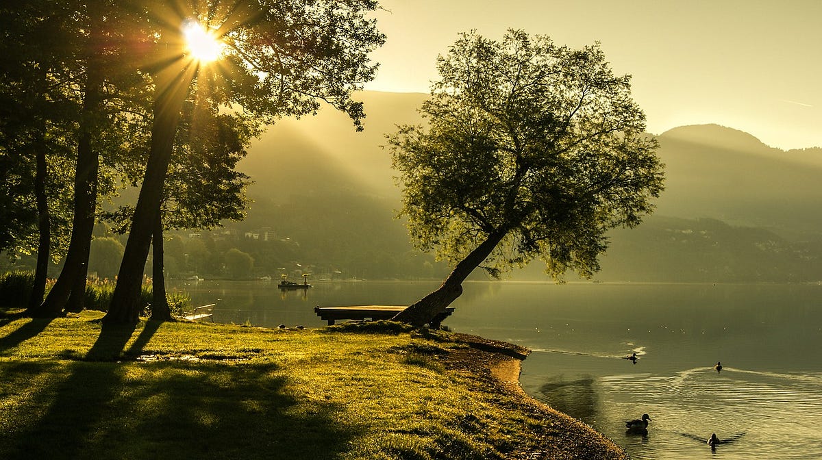 10 Master Elements and their ideal natural conditions | by Jonny Qi ...