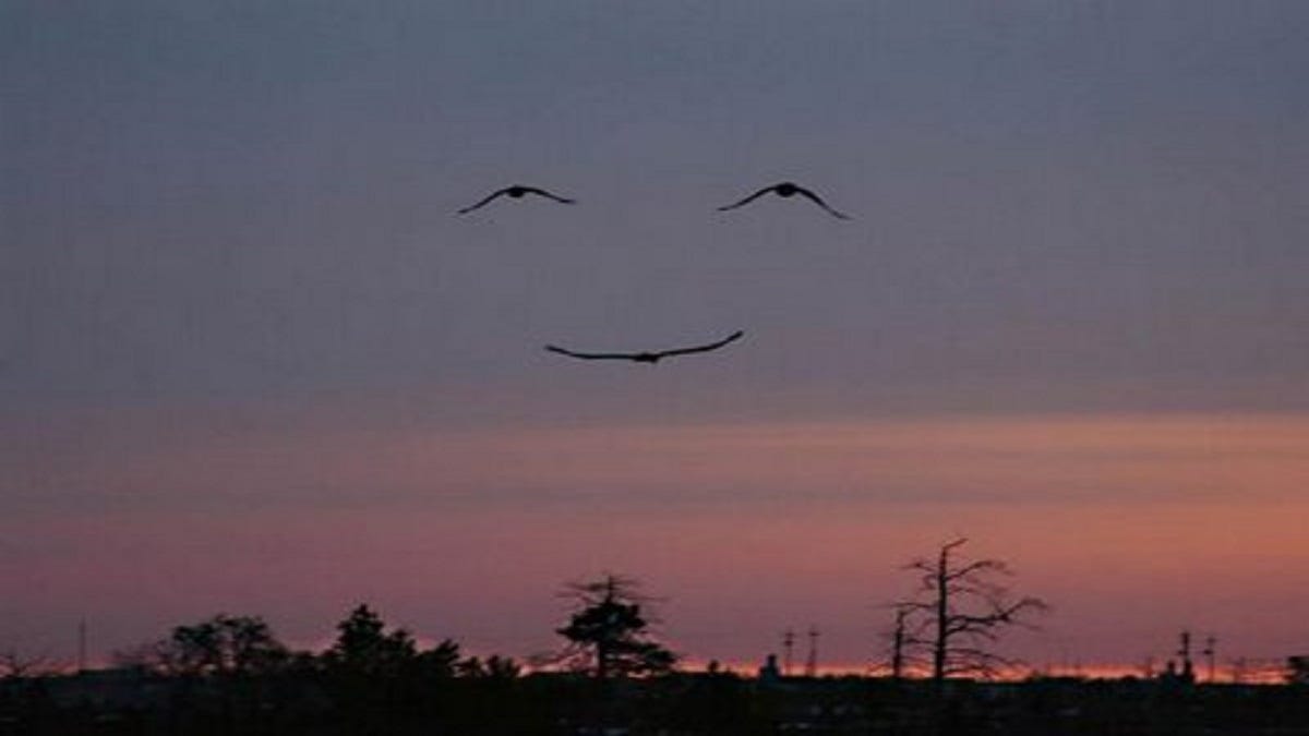 Illusions: The Delusive Reality. Illusions are all around us, shaping ...