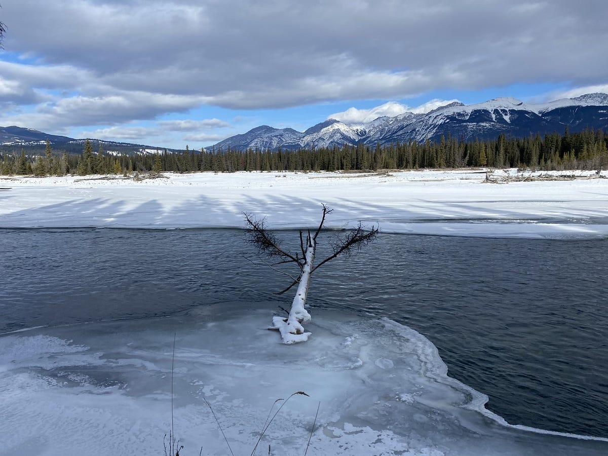 Feel The Frost. Chilly vibes in Canada | by Aarti Tailor ...