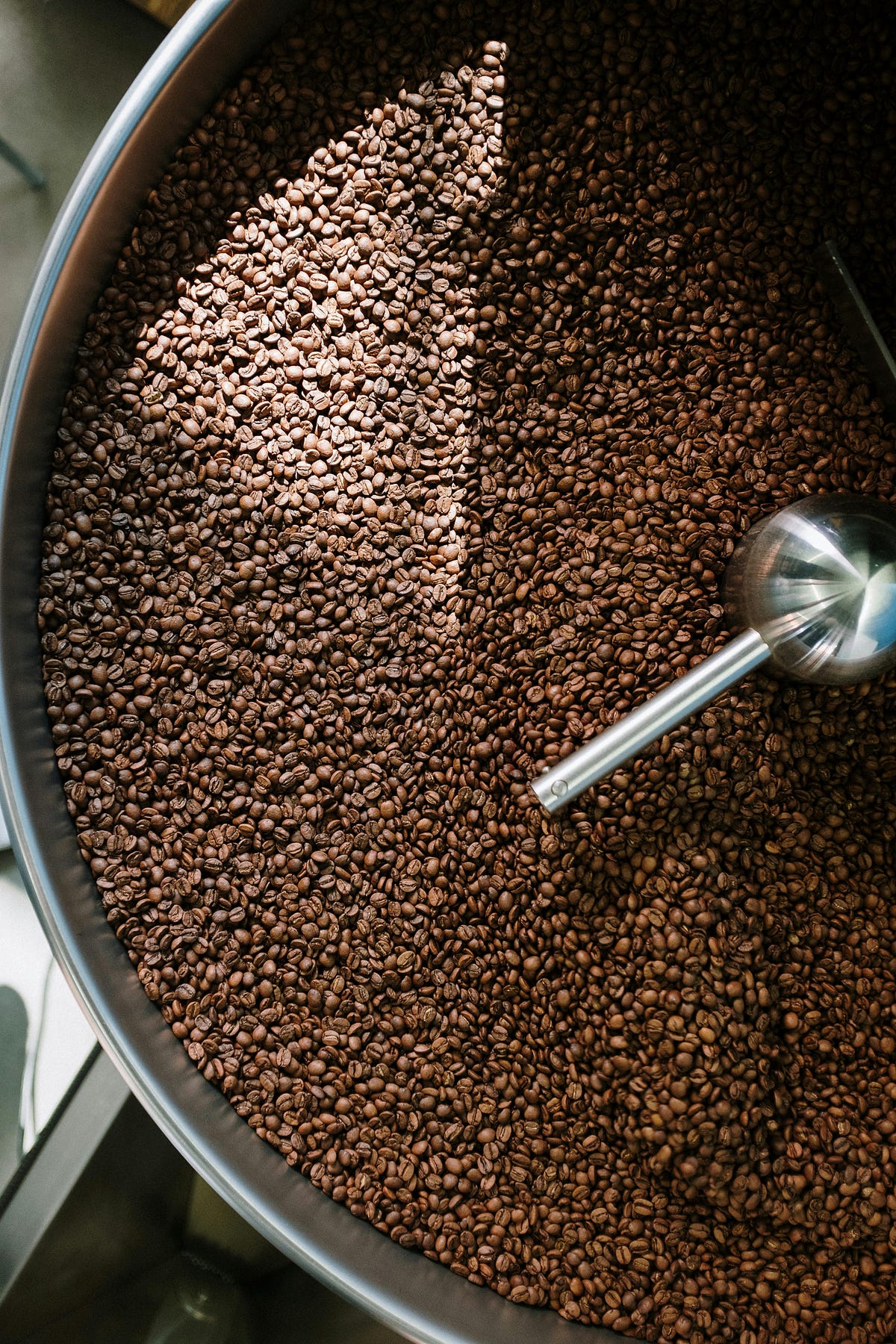 Exploring the Global Coffee Industry Highlights from the Host Milano ...