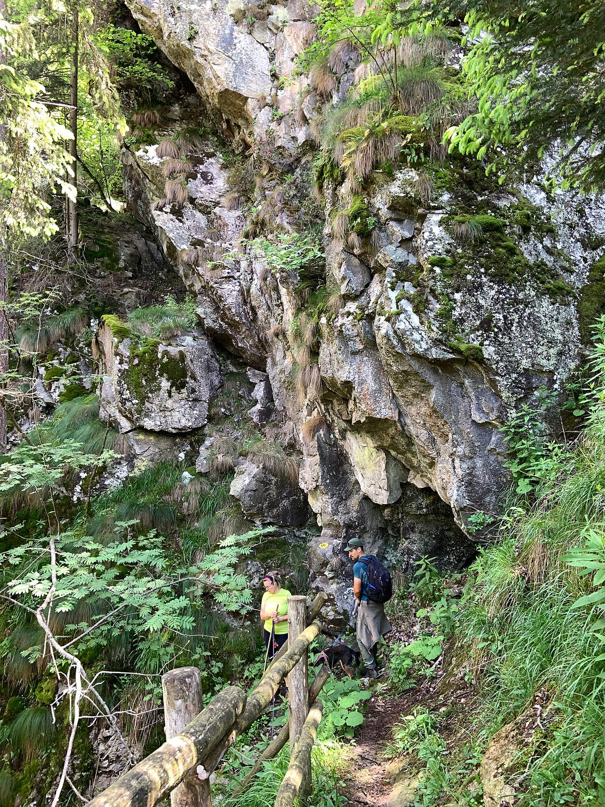 The Solitude of Hiking. Finding Peace and Self-Discovery in Nature | by ...