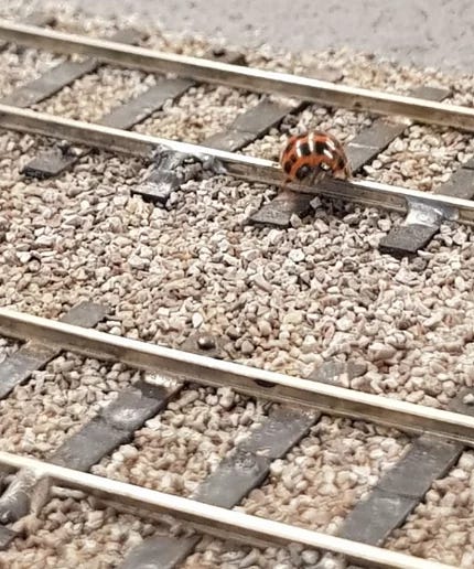 Pest proofing your model railway | by Miniaturerails Com | Dec, 2025 ...