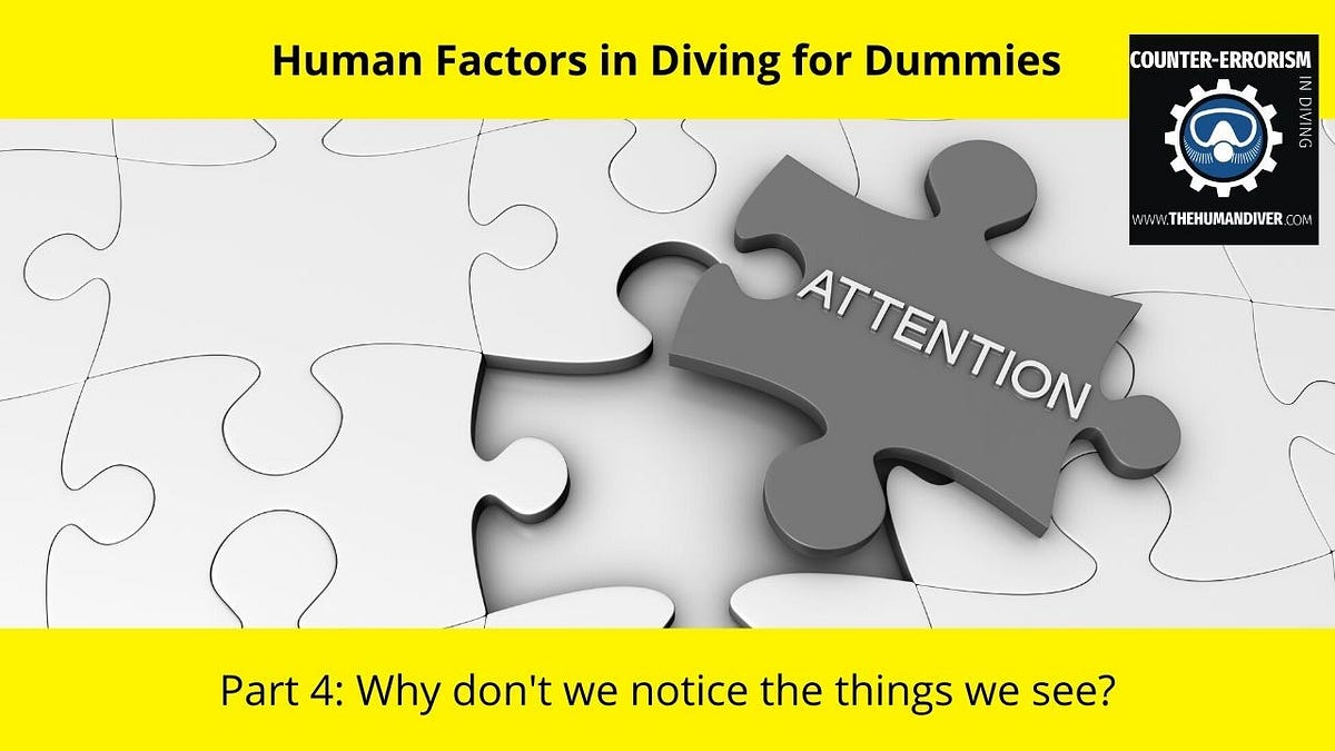 HF in Diving for Dummies #4: Why don’t we notice the things we see ...