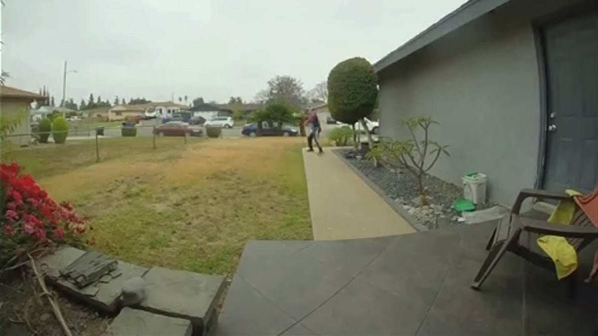 Delivery Driver Throws Package Like A Frisbee | Doorbell Camera Video ...