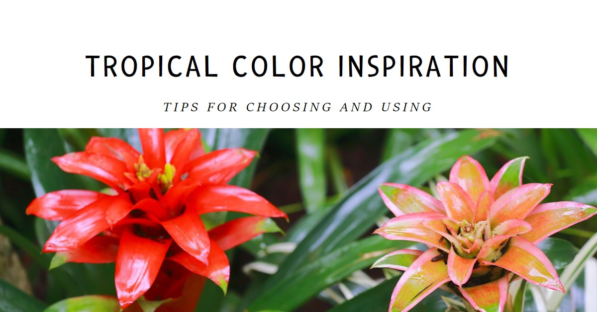 The Ultimate Guide to Choosing Color Palettes for Your Tropical Home ...