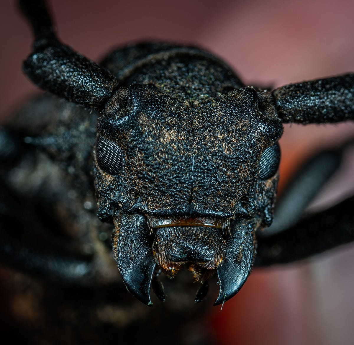 Day 28: Sortin’ out the bugs & Enemy fire challenge | by Michael Little ...