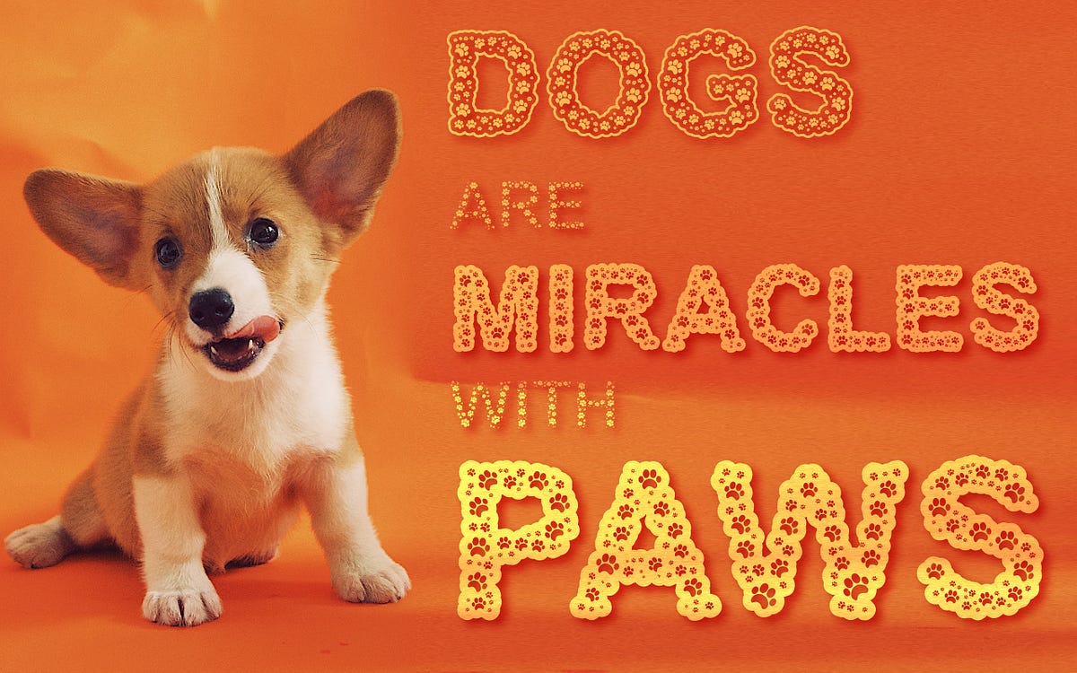 Dog Paws Font | by Miamirabilis | May, 2024 | Medium