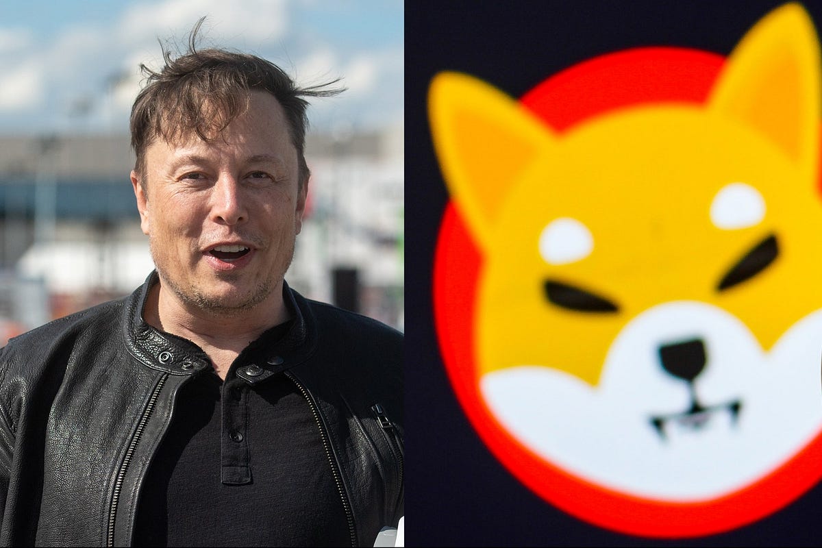 SHIB’s “Breakup” from Elon Musk highlights the Most Fundamental Principle of Blockchain ...