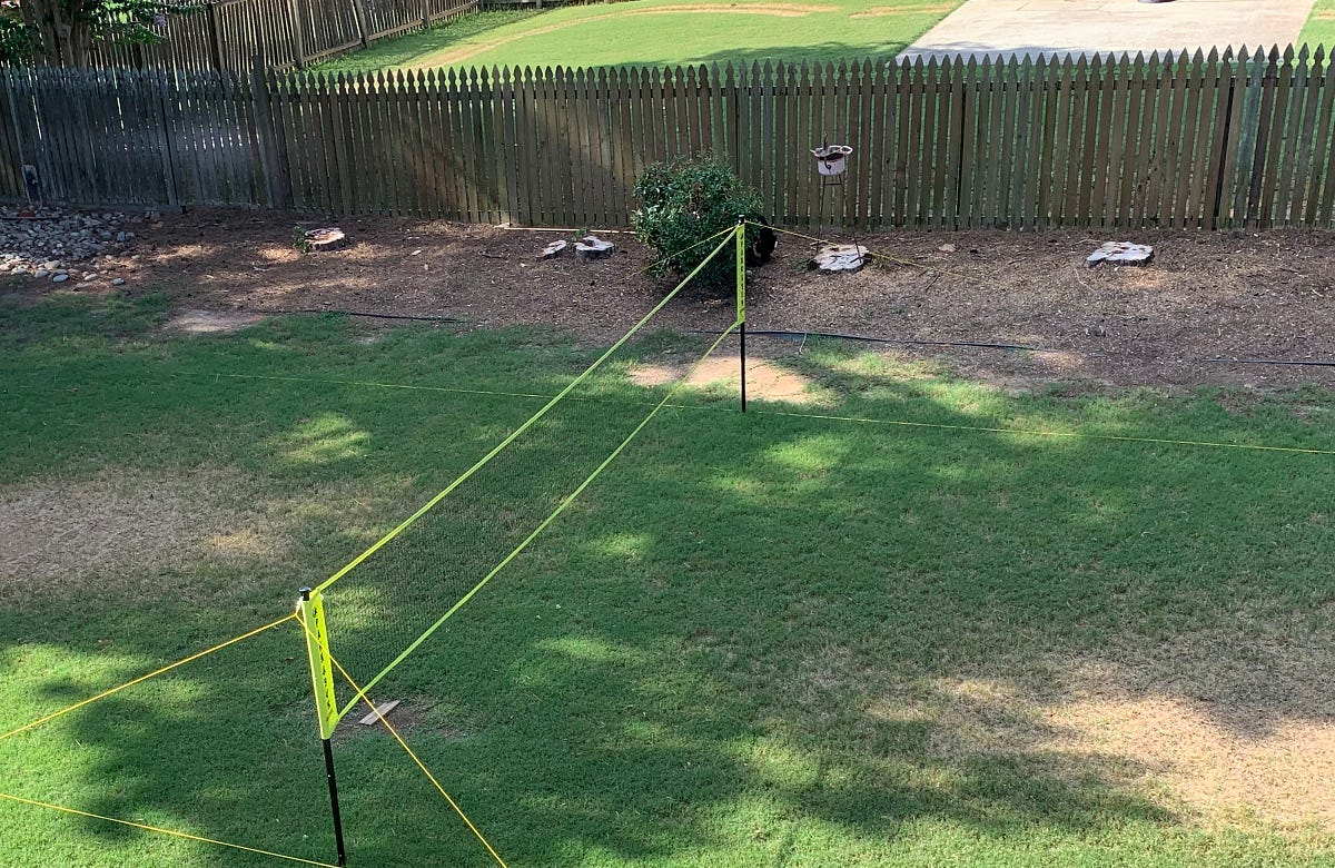 YARD SCARS — MY LAWN LOOKS LIKE CRAP AND I AM SO PROUD | by Justin ...
