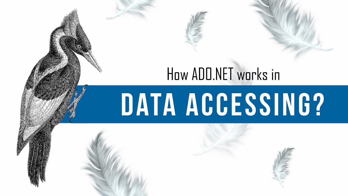 Data Reader Vs Data Adapter. ADO.NET supports two different… | by Angry ...