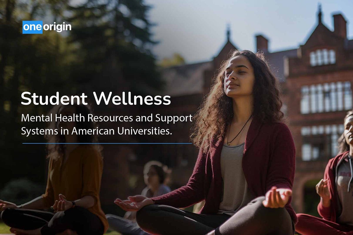 Essential Guide to University Mental Health Support in the USA | by ...