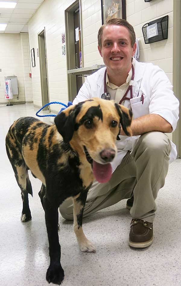 Somatic Mutation Dog