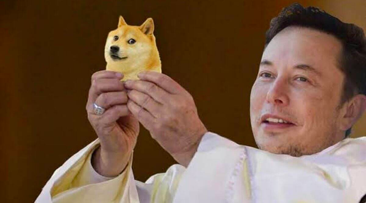 DOGE Jumps As Musk Folds. Dogecoin, the popular and fairly… | by ...