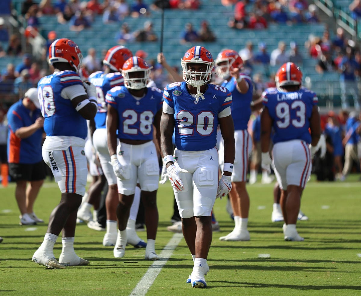 The Fall Of Florida Football. Growing up in Gainesville in the… | by ...