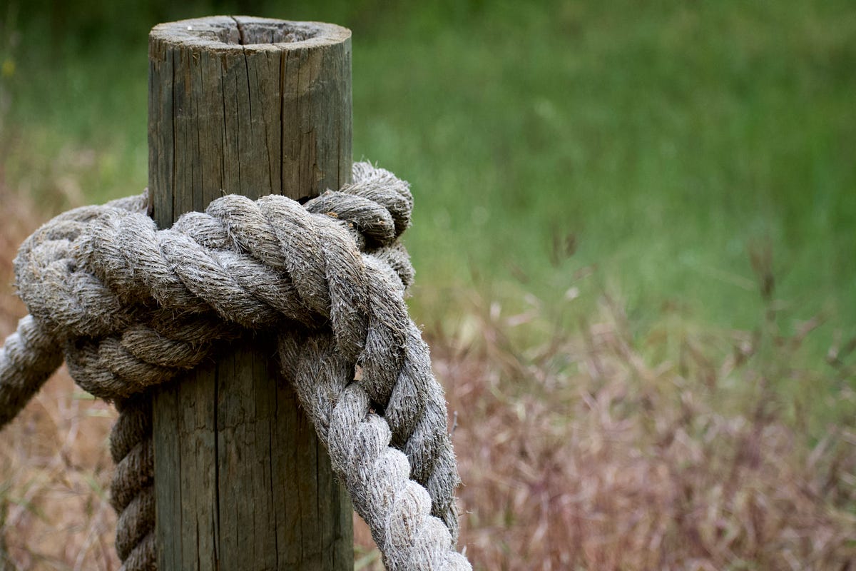 Knots | Poem - Emily Begin - Medium