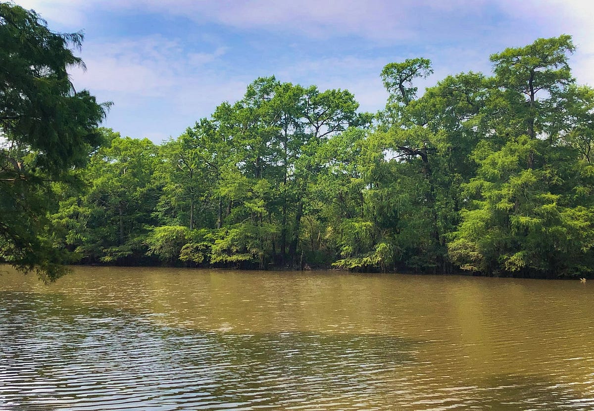 Water, food, weather, savings — ESG is about protecting you | by Joseph Robertson | TEX.earth ...