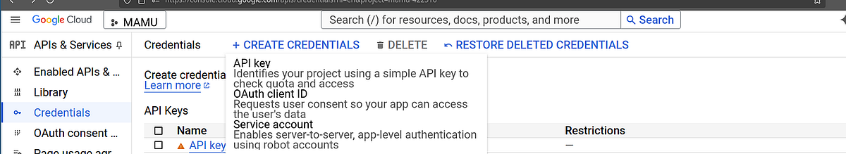 SSO Authentication with Apple and Google OAuth in React Native and ...
