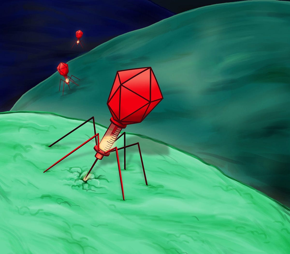 Phage Therapy’s Comeback: A Modern Medical Renaissance | by Hayden Lim ...