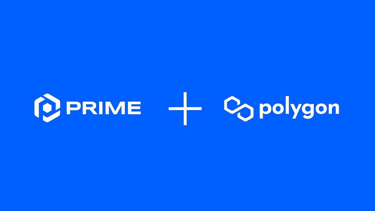 Prime Protocol is Entering the Polygon Ecosystem! | by Prime Protocol ...