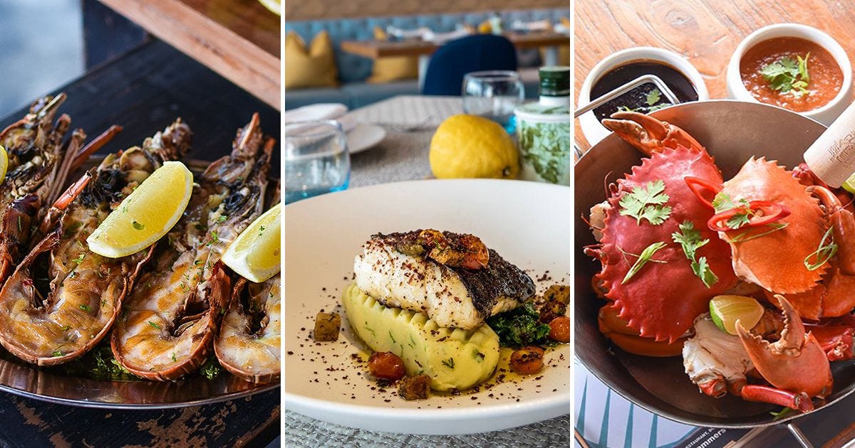 Top 7 best spicy sea food dishes in dubai | by Hello Meals On Me | Medium