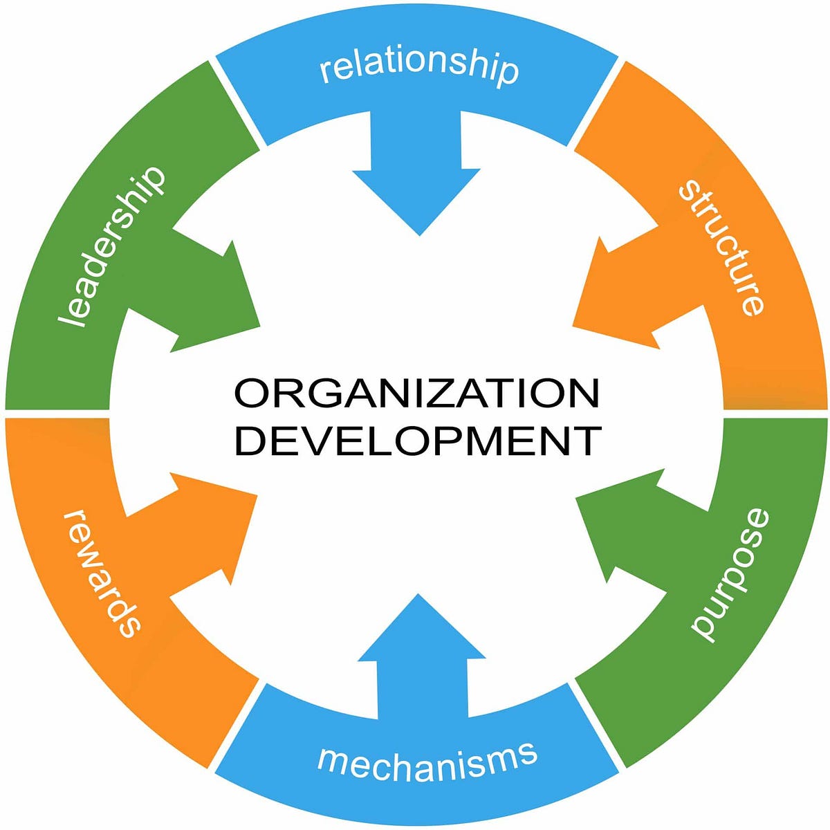 TRAINING ORGANIZATION DEVELOPMENT | by Shiva Mai Lani | Medium