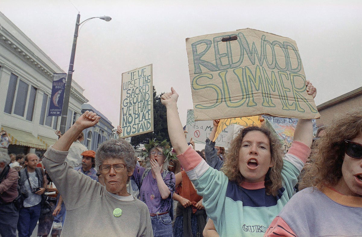 The lessons of Redwood Summer, thirty years later | by High Country ...