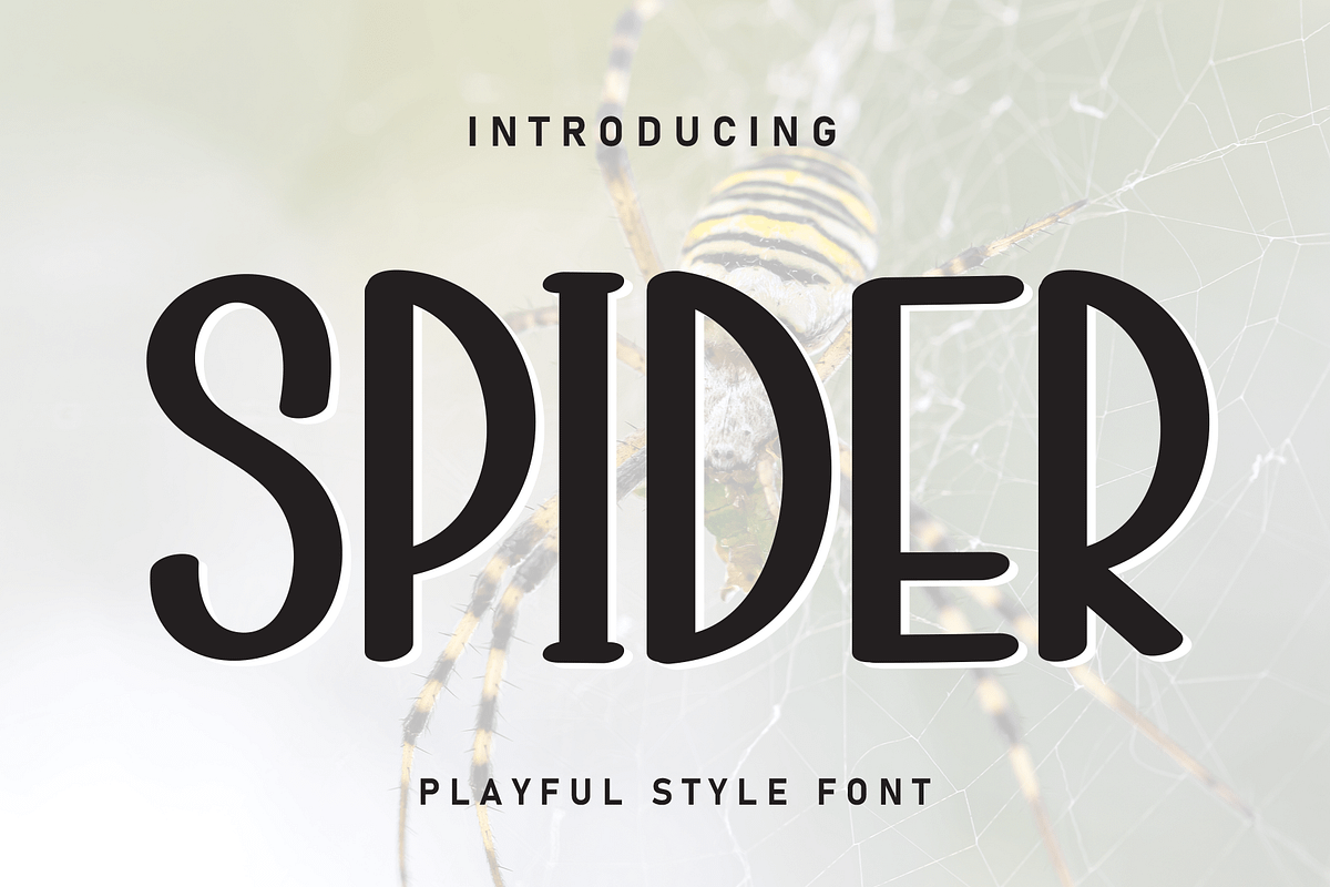 Spider Font | by Emmaethereal | May, 2024 | Medium