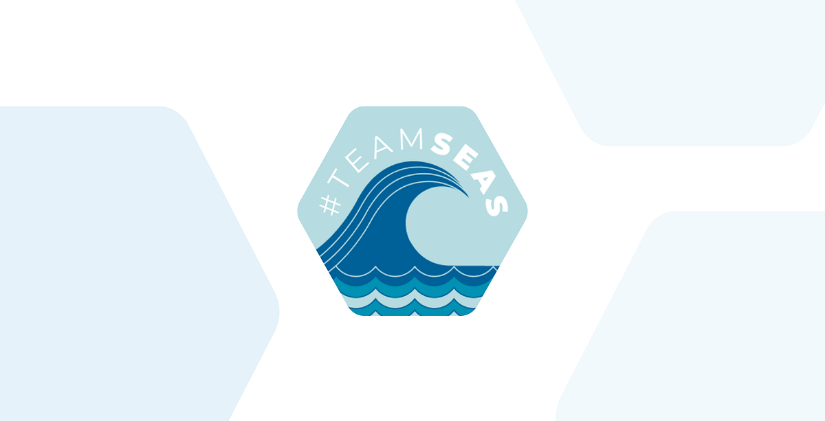 #TeamSeas. El equipo Nimiq se une a los YouTubers… | by Nim Quijote ...
