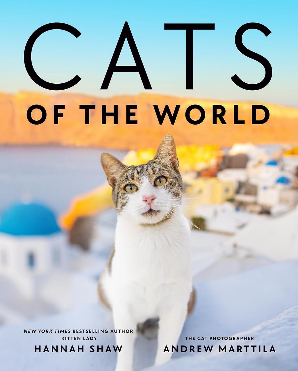 (PDF) Cats of the World By Hannah Shaw | by Cherlyn Joya | Medium