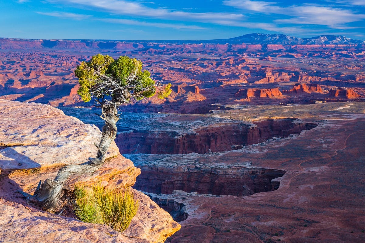 The wildest place in every state. by Caitlin McCormarck | by The b ...