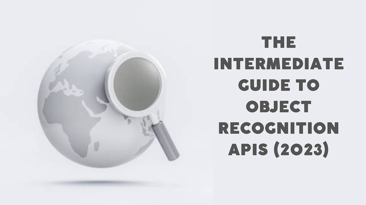 The Intermediate Guide To Object Recognition APIs (2023) | by TheStartupFounder.com | Medium