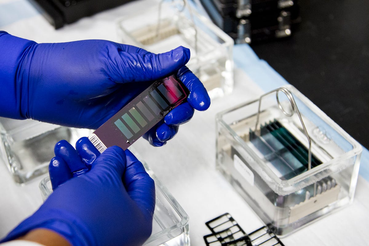 Diagnostic Assay using Piece of Paper? | by Marco | ILLUMINATION | Medium