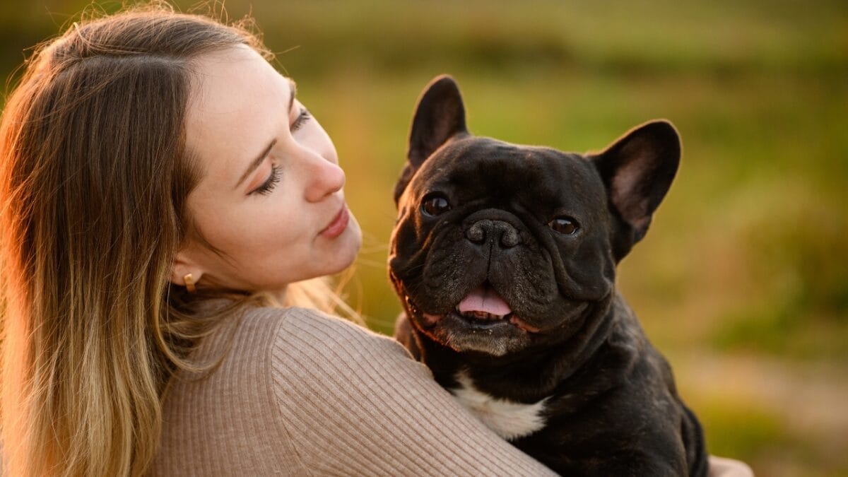 5 Most Popular Dog Breeds in the U.S | by Davin Eberhardt | Medium