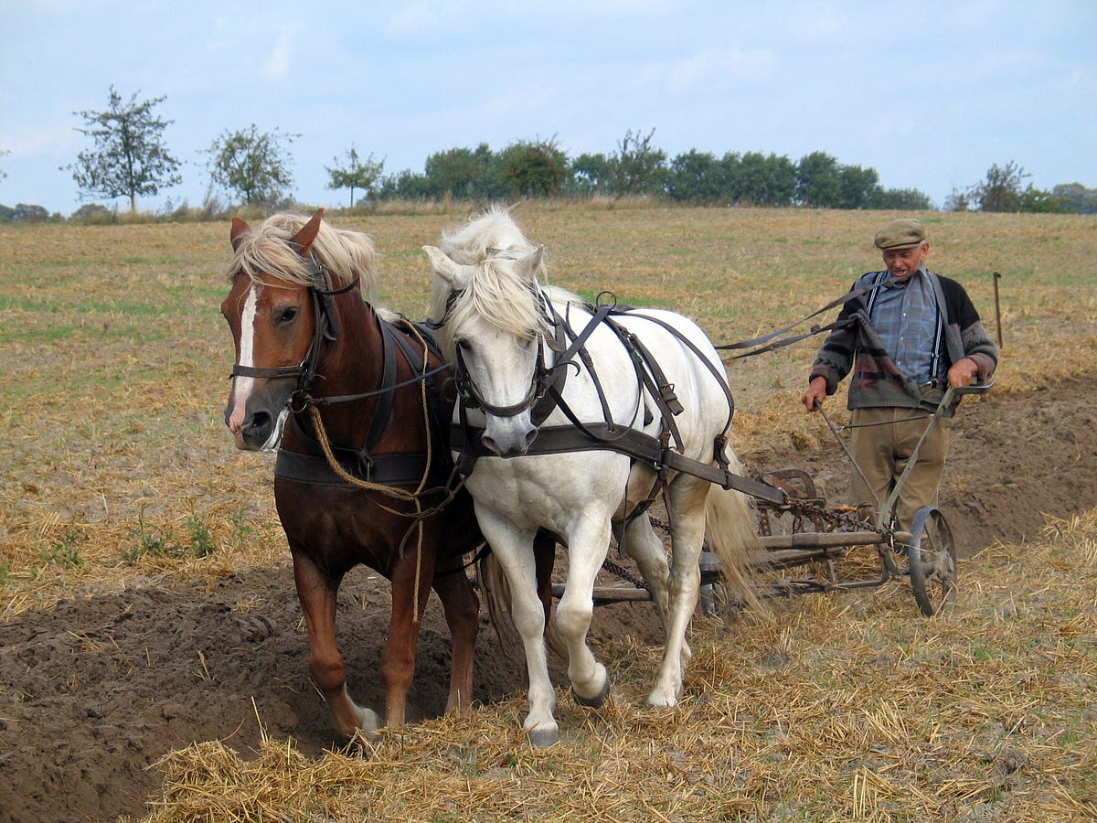 The plow technology. How agricultures technological advances… | by ...