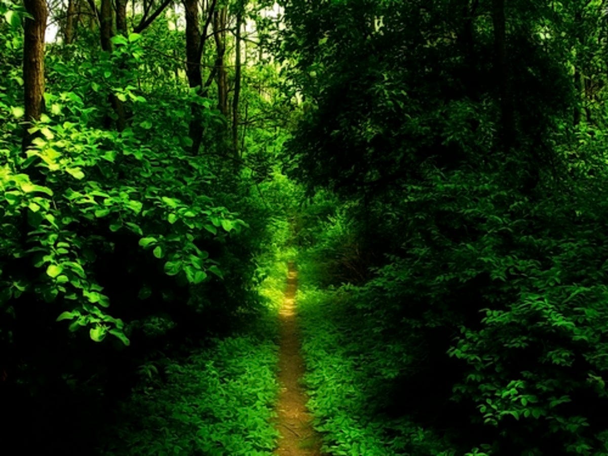 Matthew 7: 13, 14 — The Strait and Narrow Way, not many understand ...