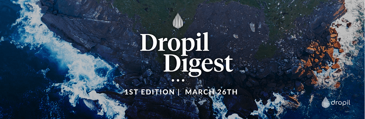 Dropil. Following | by Sasya | Medium