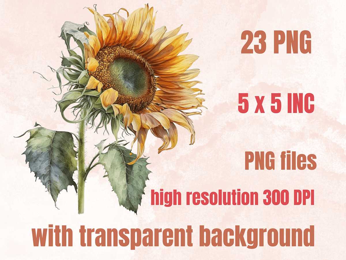 23 PNG Watercolor Sunflowers Clipart Set | by Vectorverve | Jul, 2024 ...