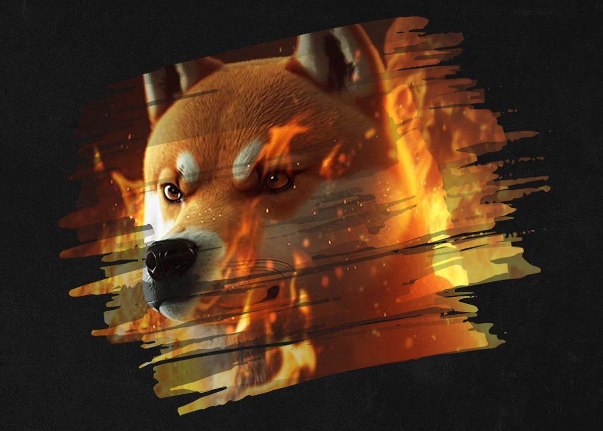 Will The Rally Continue After The Bonk Burn? | by Robert Taylor | Medium