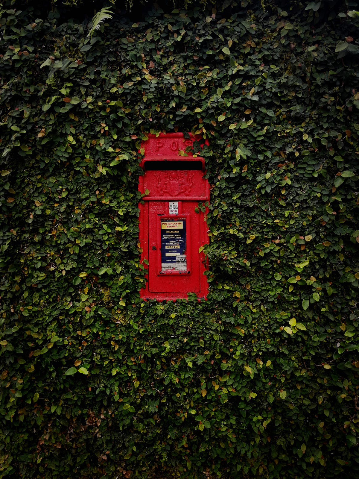 Her Heart Was a Mailbox Full of Death Threats | by Jeff Suwak | Lit Up ...