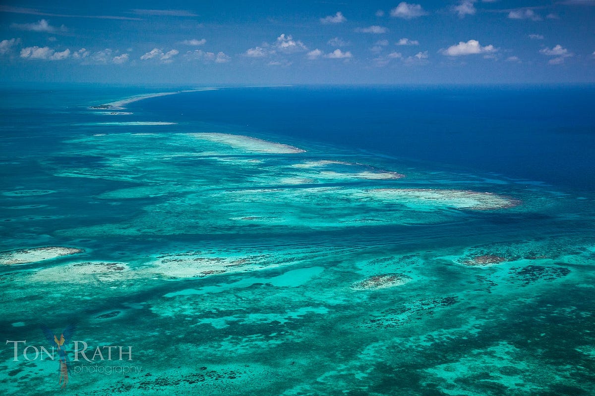 A View to ‘The Environment’ in the Constitution of Belize | by Tony ...