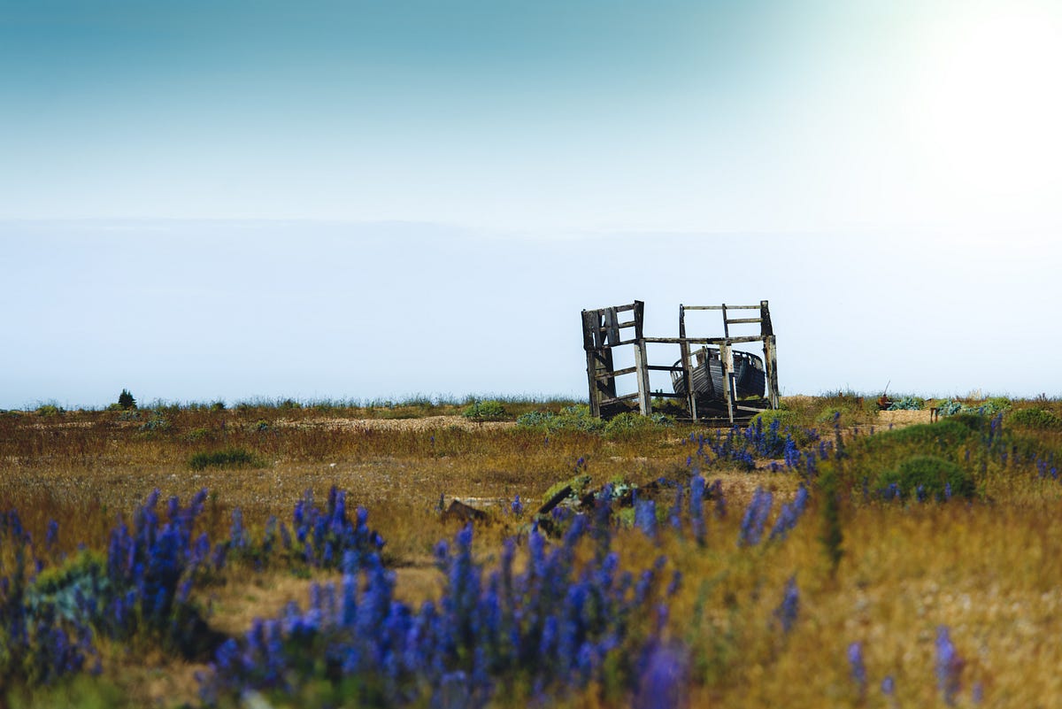 The Lonely Art of Being Forgotten | by Miles Boucher | Medium