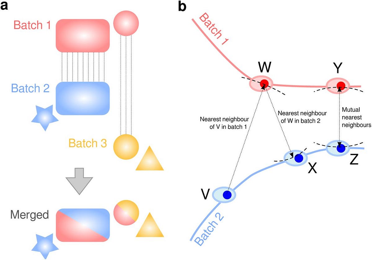Effect-Dilemma in proteomics (batch effect, size effect, matrix effect,Sample Preparation Effect ...