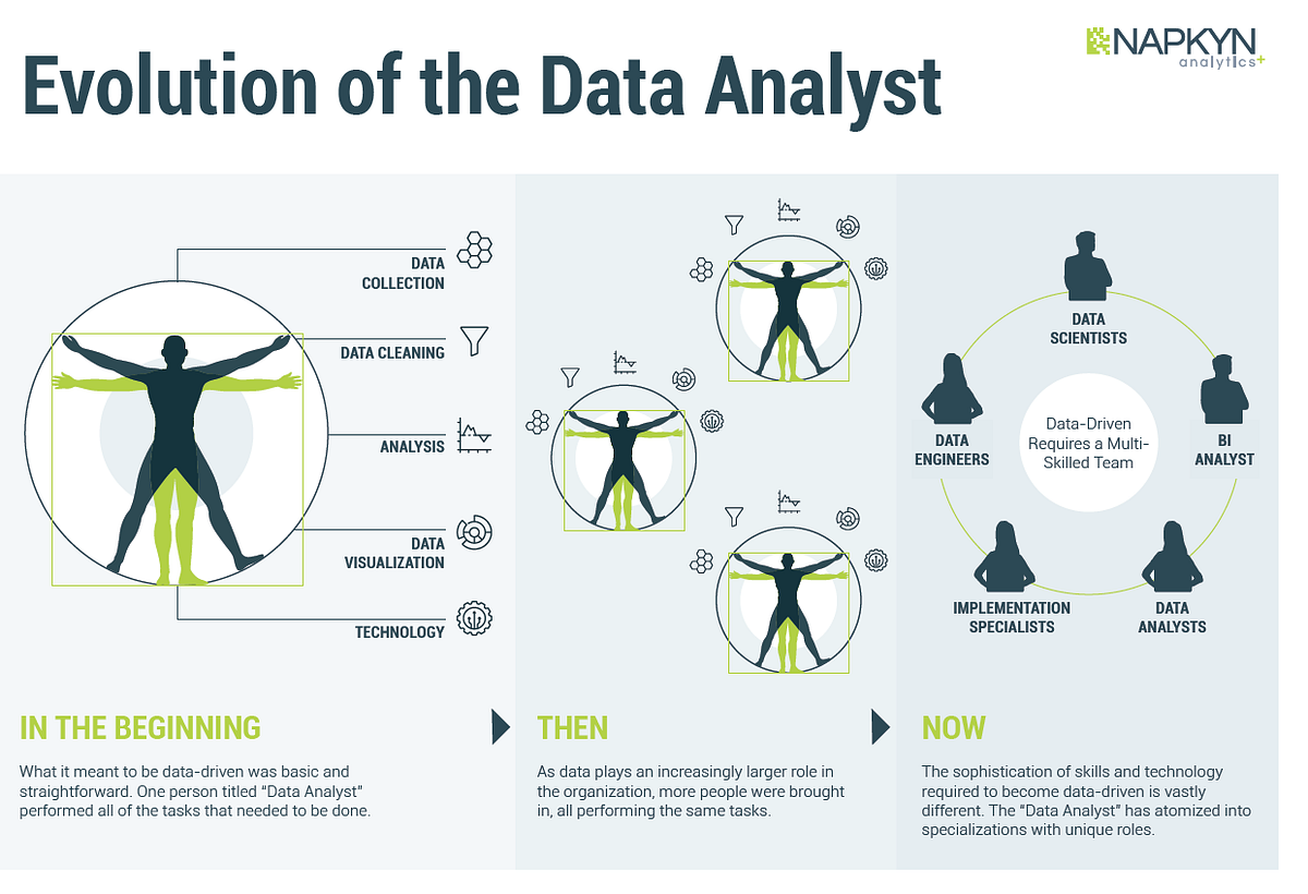 Roles and Responsibilities of a Data Analyst in a Modern Data Team | by ...