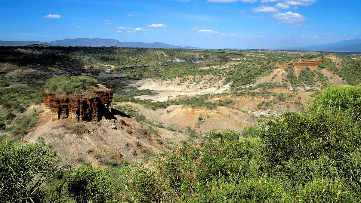 Humans Built Houses 2 Million Years Ago, and Archaeologists Have the ...