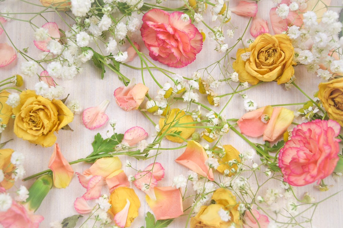 Divine Feminine Day. Also known as Mother’s Day | by Grace Leverich ...