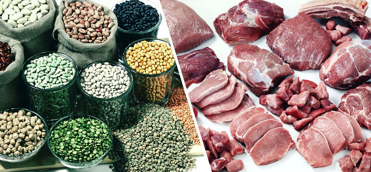Plant-Based vs. Animal protein: the debate that endures | by Rachel ...