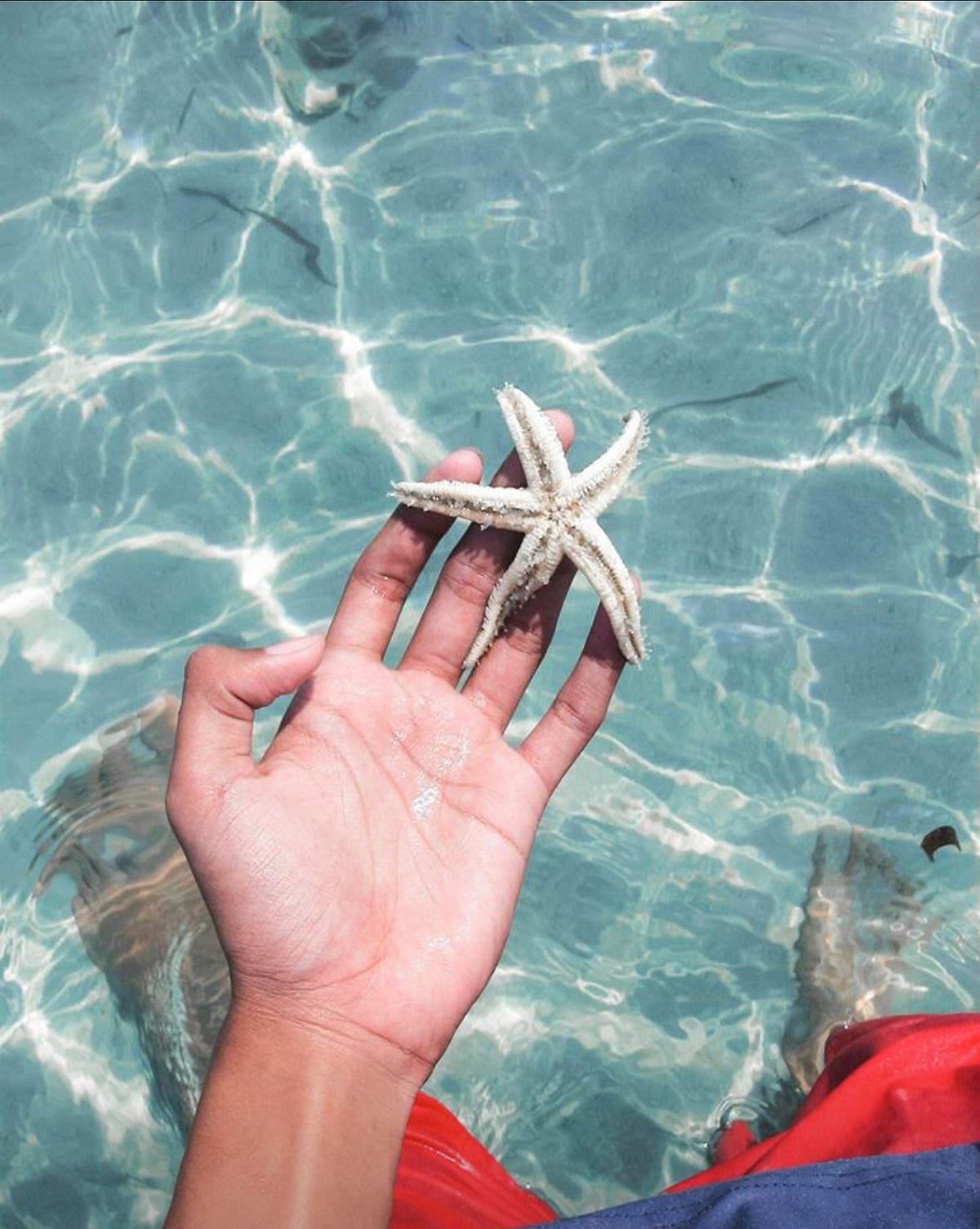 Come And Join Me Lets Discover Panacalan Island Sandbar | by Mabuhay ...