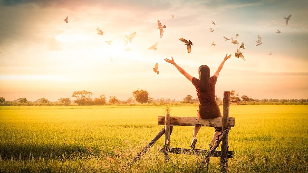 Simplicity And Freedom. Simplicity And Freedom YOU HAVE KNOWN… | by ...